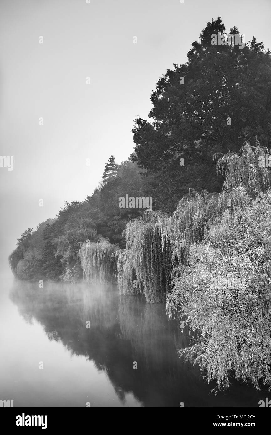 Lakeside forest hi-res stock photography and images - Alamy