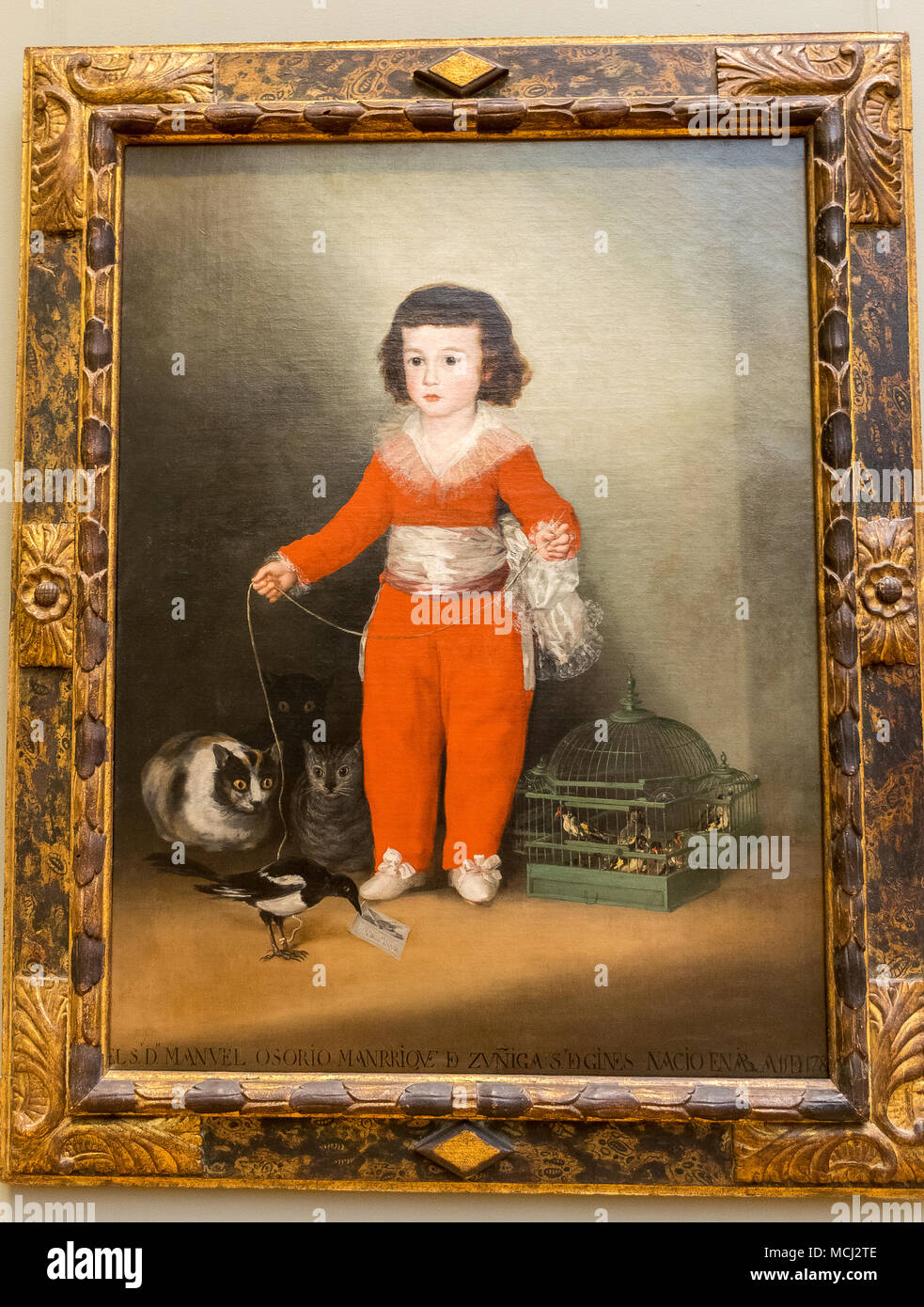 New York City The Met - Francisco de Goya - Manuel Osorio Manrique de ...