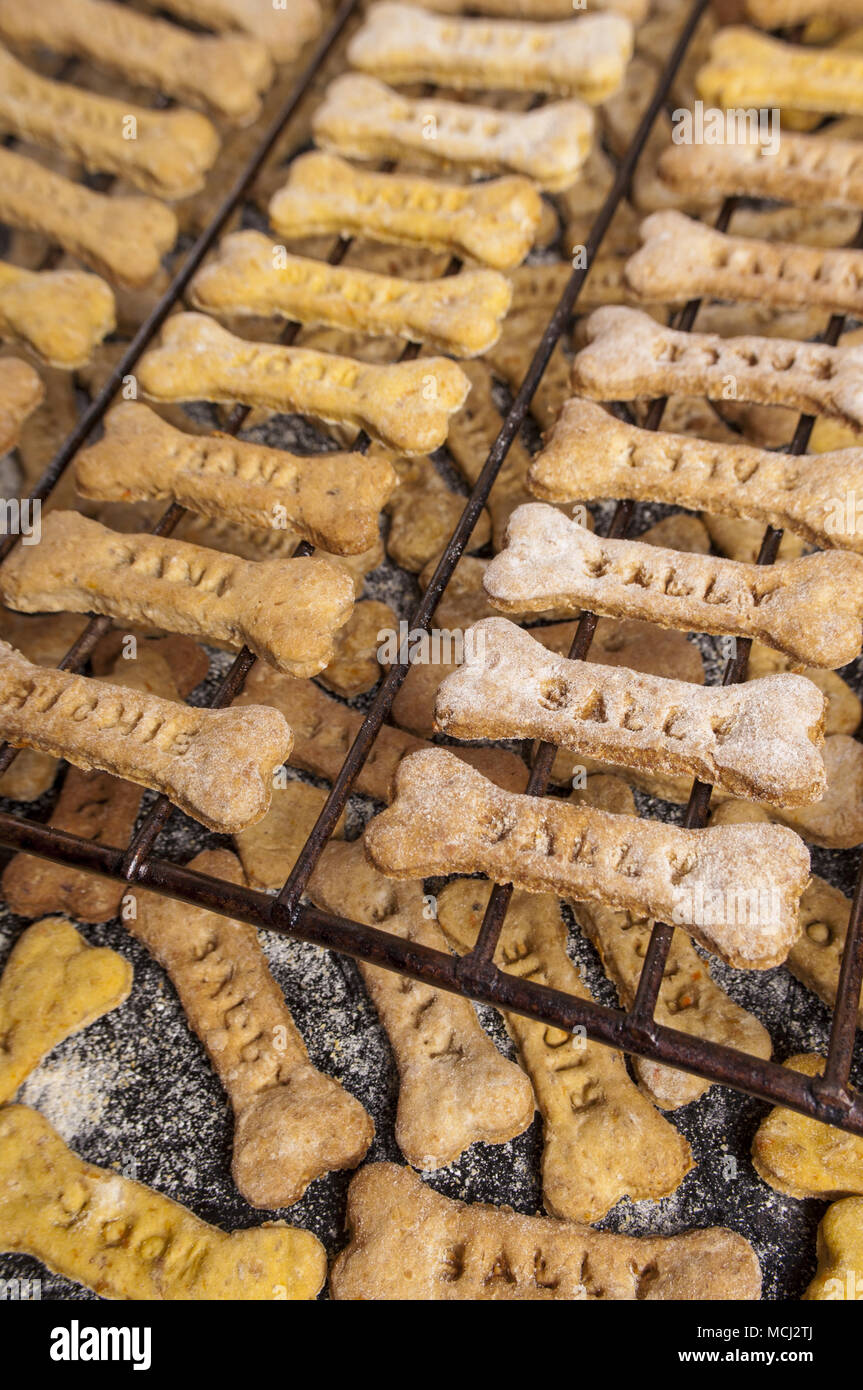 Pin bones hi-res stock photography and images - Alamy
