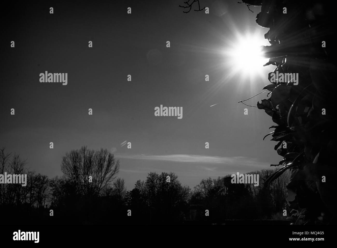 Shadow street sign on asphalt road, urban background Stock Photo - Alamy
