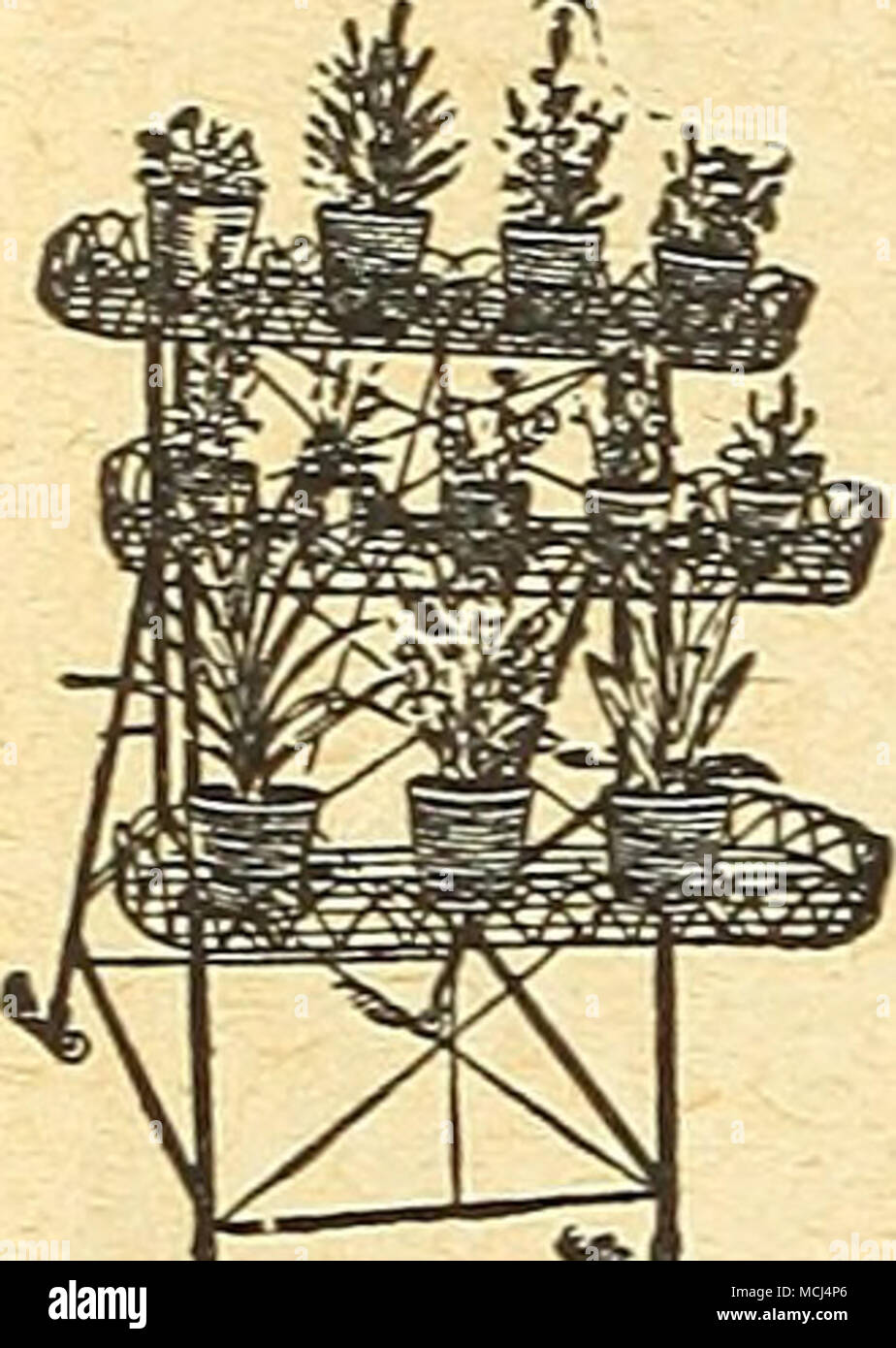 . Collapsible Wire Plant Stand Stock Photo - Alamy
