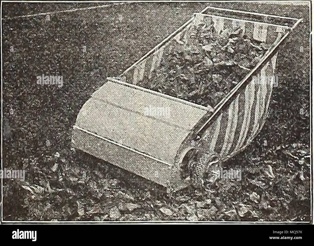 . Pennsylvania Lawn Cleaner CoHN Husking Pin Corn Knifh (69 Stock Photo ...