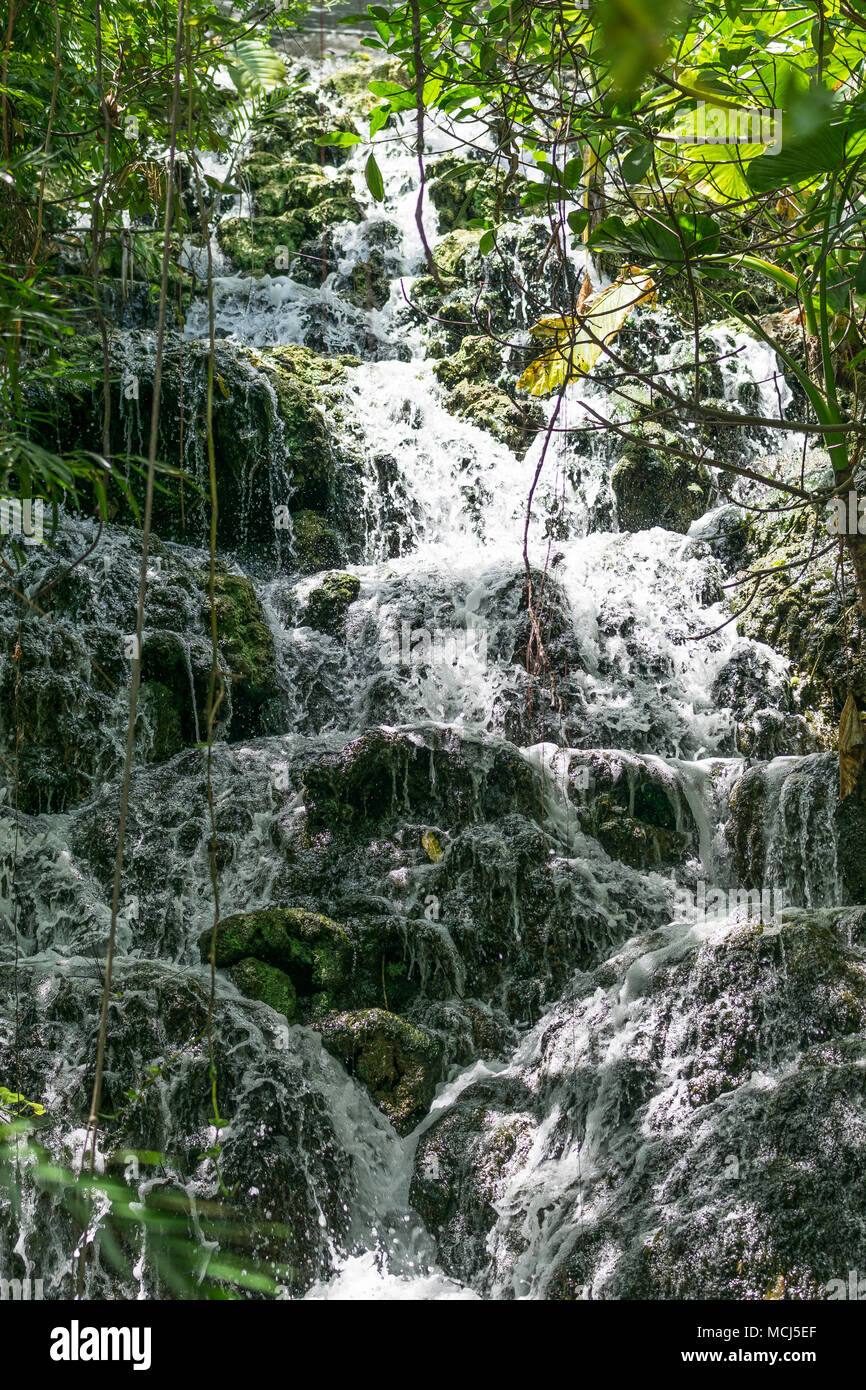 Tropical Waterfall in Mexico Stock Photo - Alamy