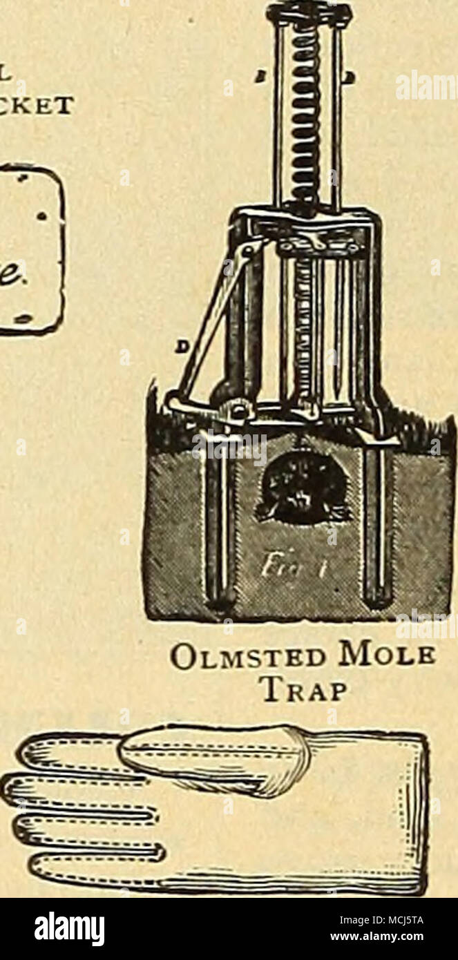 . Heavy Wire Plant Stands POWDER AND SPRAY BELLOWS Buckskin Pruning ...