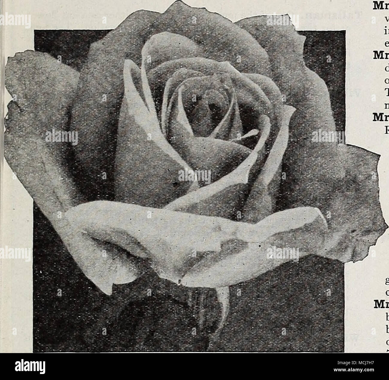 Catherine brunner hi-res stock photography and images - Alamy