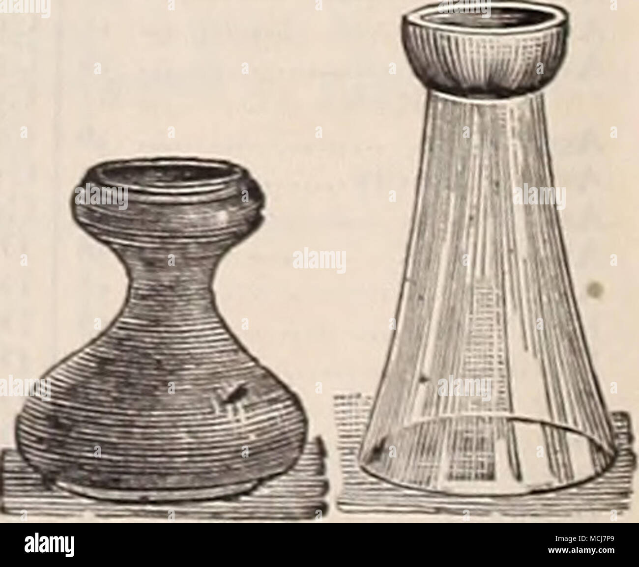 . Squat or Tvb Shape. Tall or Bel- gian Shape. (2 Stock Photo - Alamy