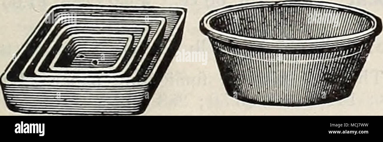 . Seed Pans Stock Photo - Alamy