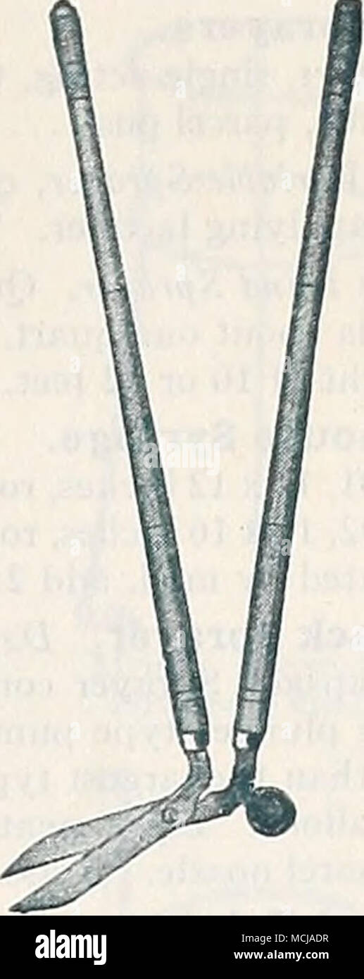 . Border Shear Gathering Scissors Stock Photo - Alamy