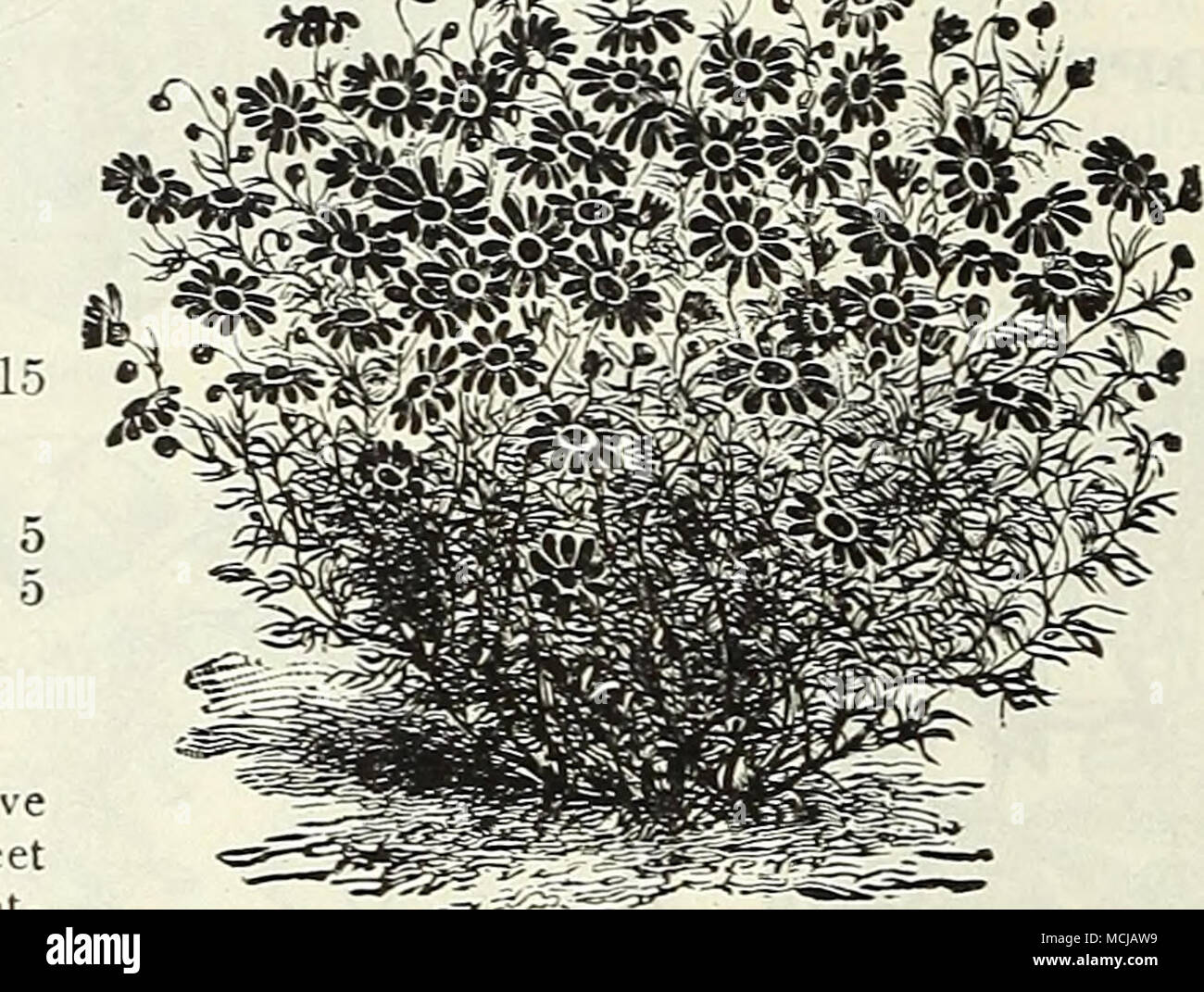 10 cls hi-res stock photography and images - Alamy