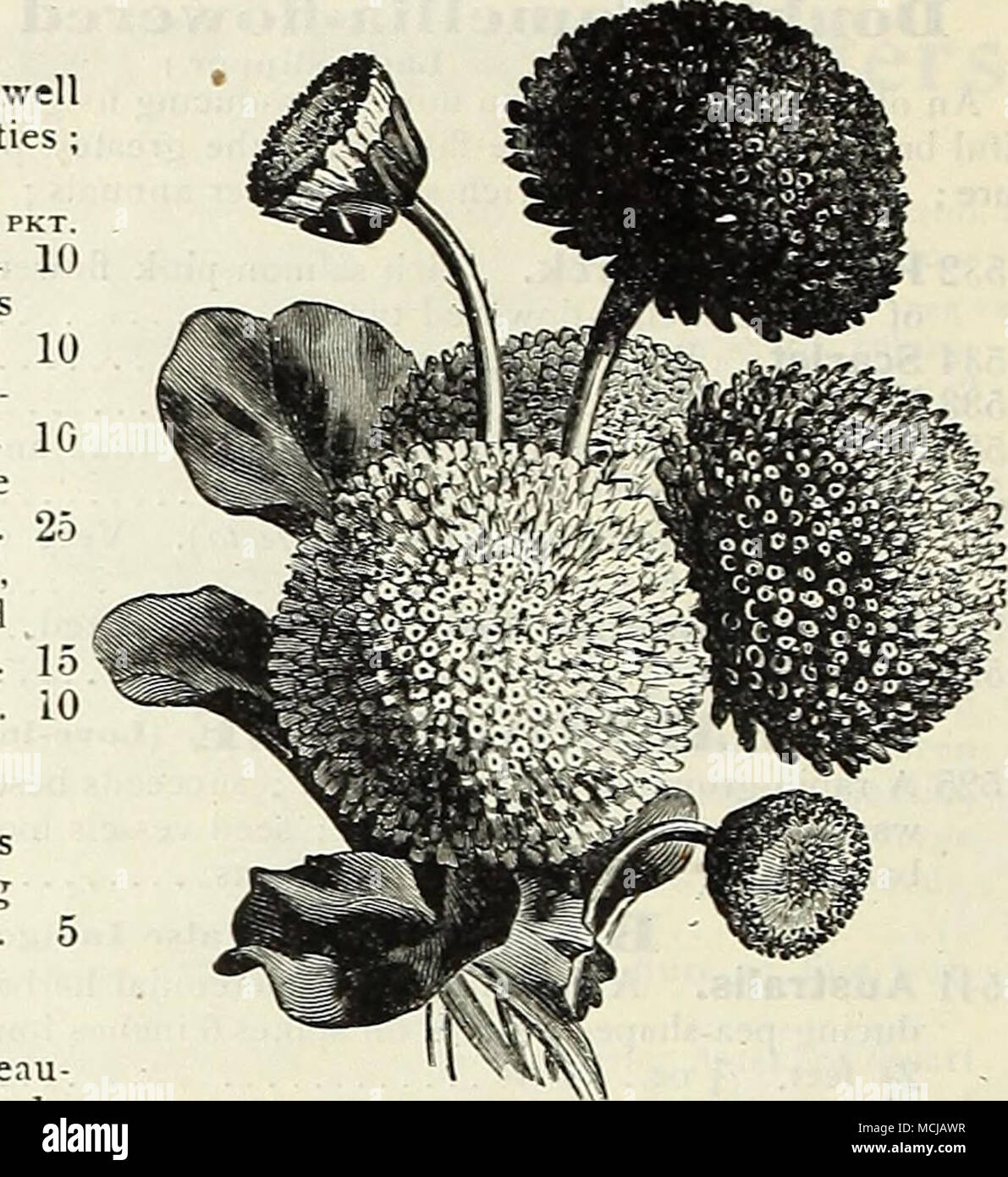 Most Uncommon Pictures