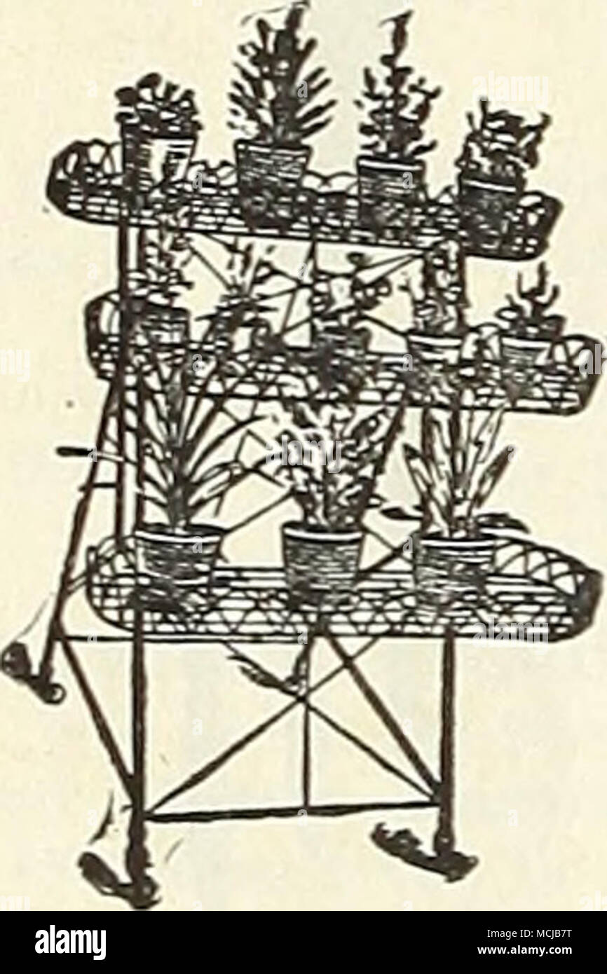 . Collapsible Wire Plant Stand Stock Photo - Alamy