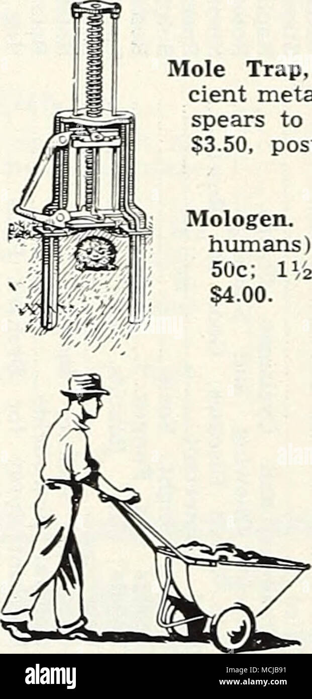 . Handi Cart Every gardener needs one. Makes a thousand odd jobs less ...