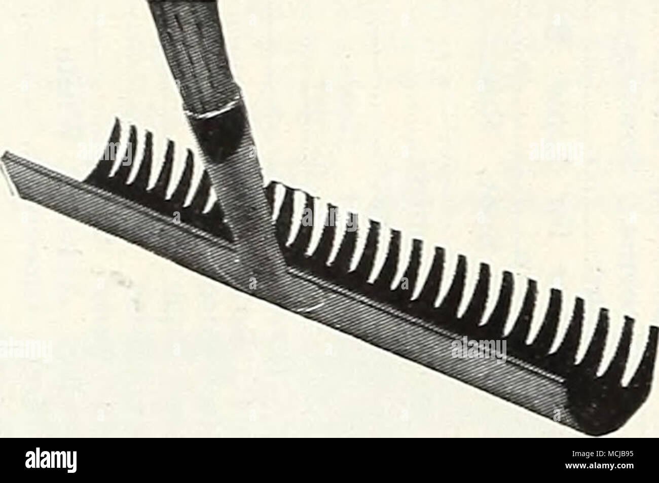 . Dandelion and Clean-Up Rake No. 415. Gardeners who have never tried ...