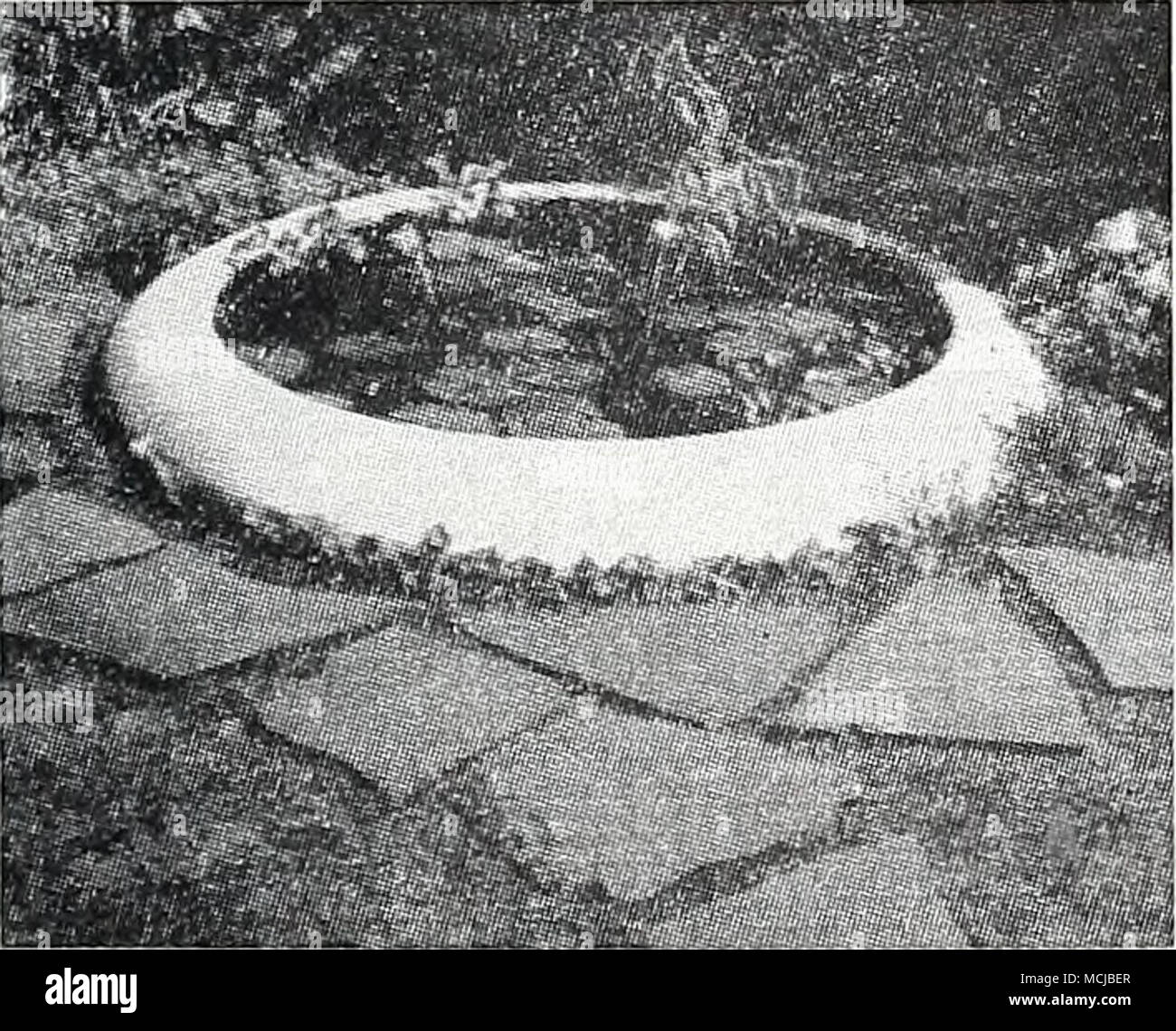 . Portable Plant Pool ^oro5eal I ortabie f Ian $19.95 A practical ...