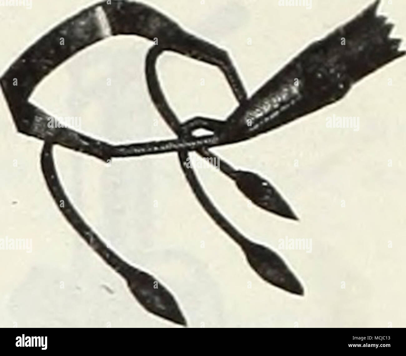 Bent tine hi-res stock photography and images - Alamy