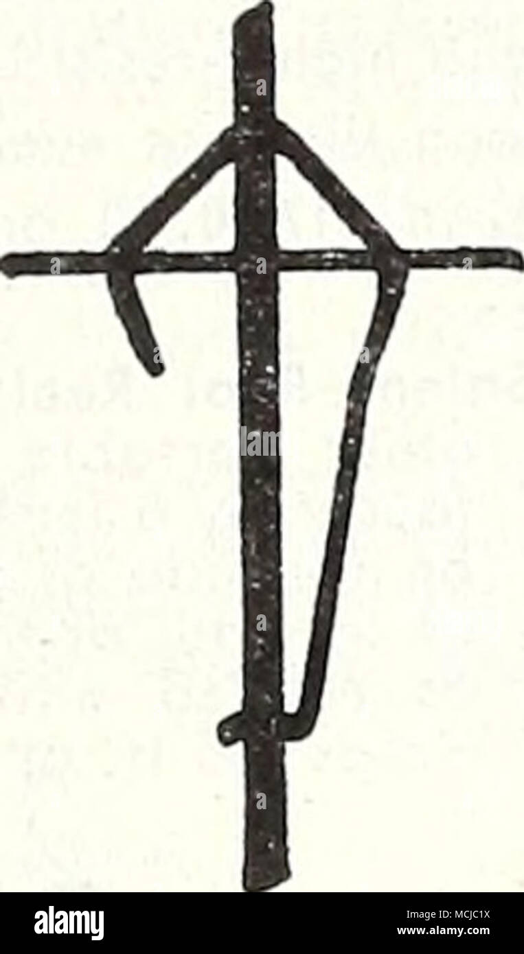 . Everlasting Stake Fastener Stock Photo - Alamy