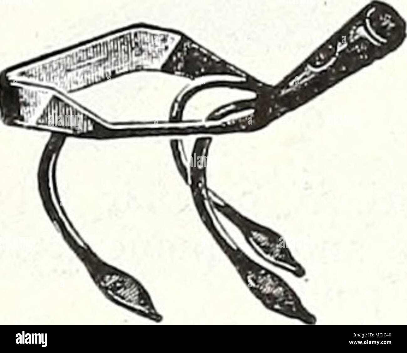 . Cultivator and Weeder. A 3-prong cultivator for loosening the soil ...