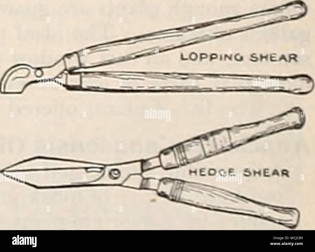 . BRASS* SYRINGE Stock Photo - Alamy