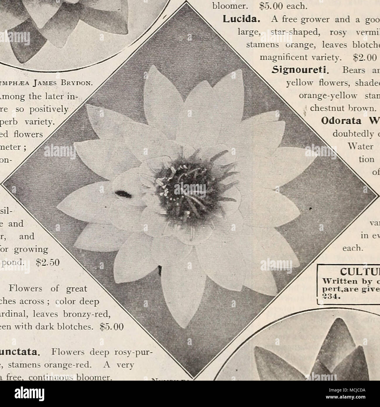 Cultiva tion hi-res stock photography and images - Alamy