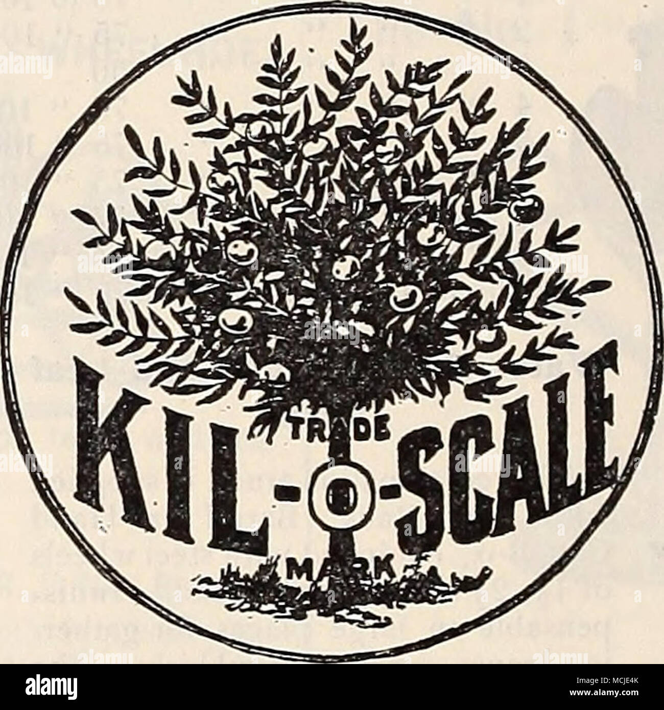 Fumigating house hi-res stock photography and images - Alamy