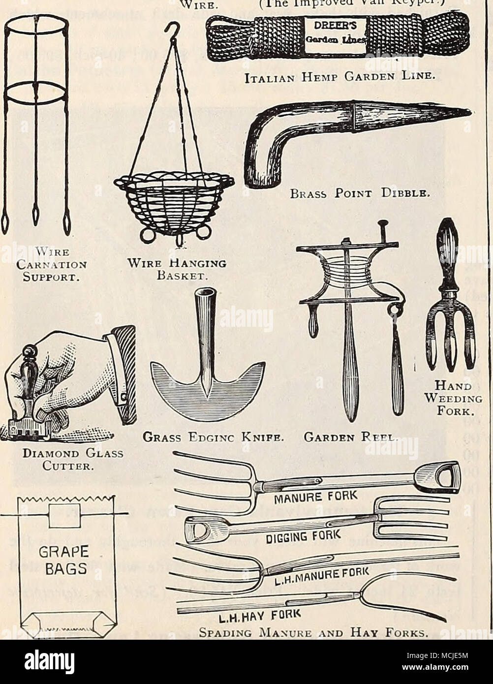 Dock weed digging hi-res stock photography and images - Alamy