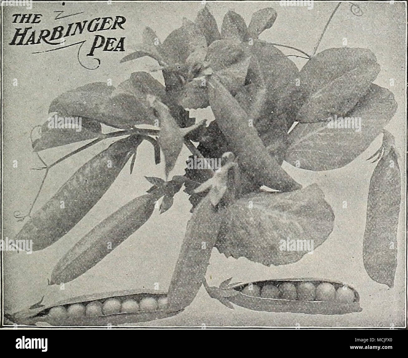 The 4 40 express hi-res stock photography and images - Alamy