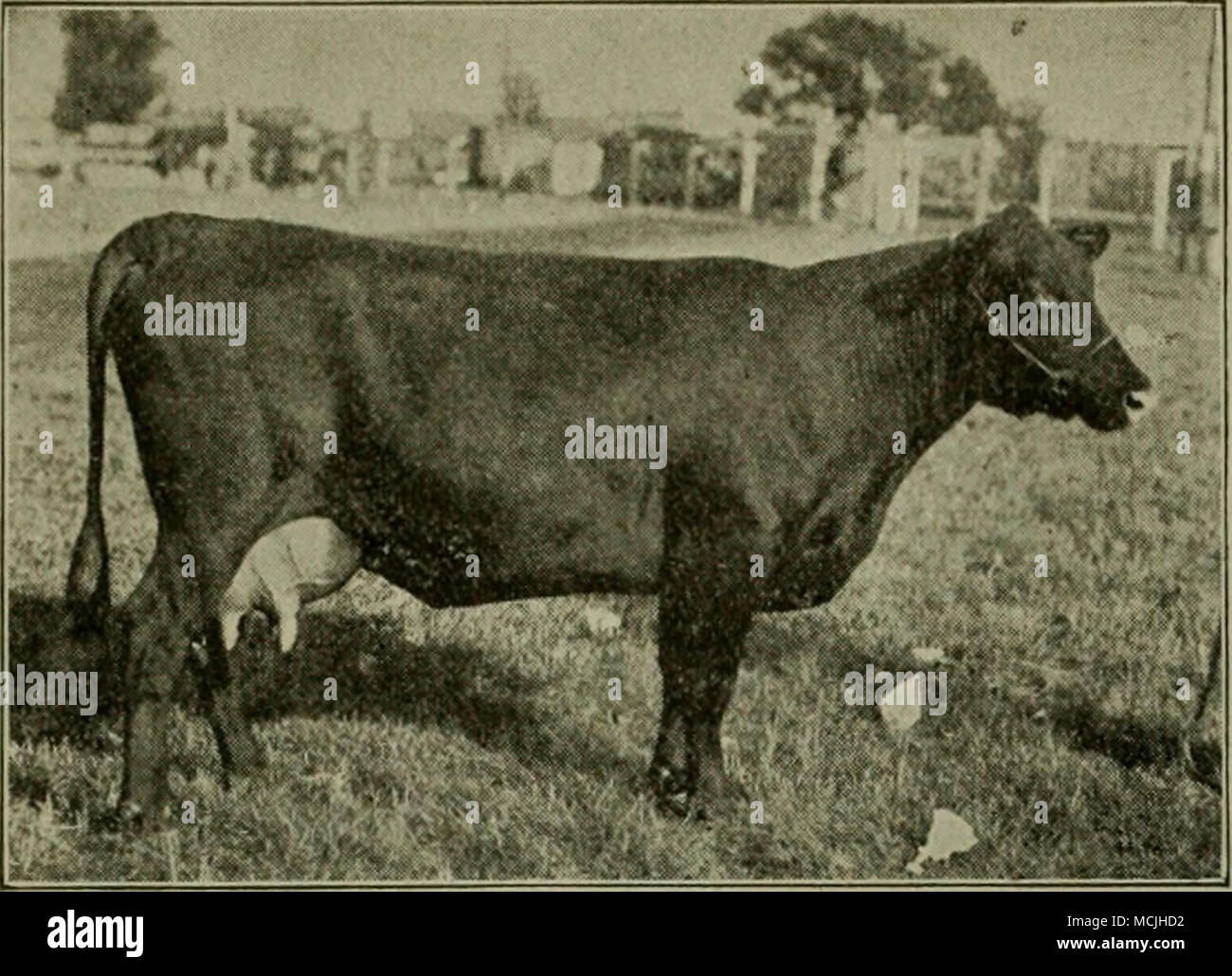 Types of milk ireland hi-res stock photography and images - Alamy