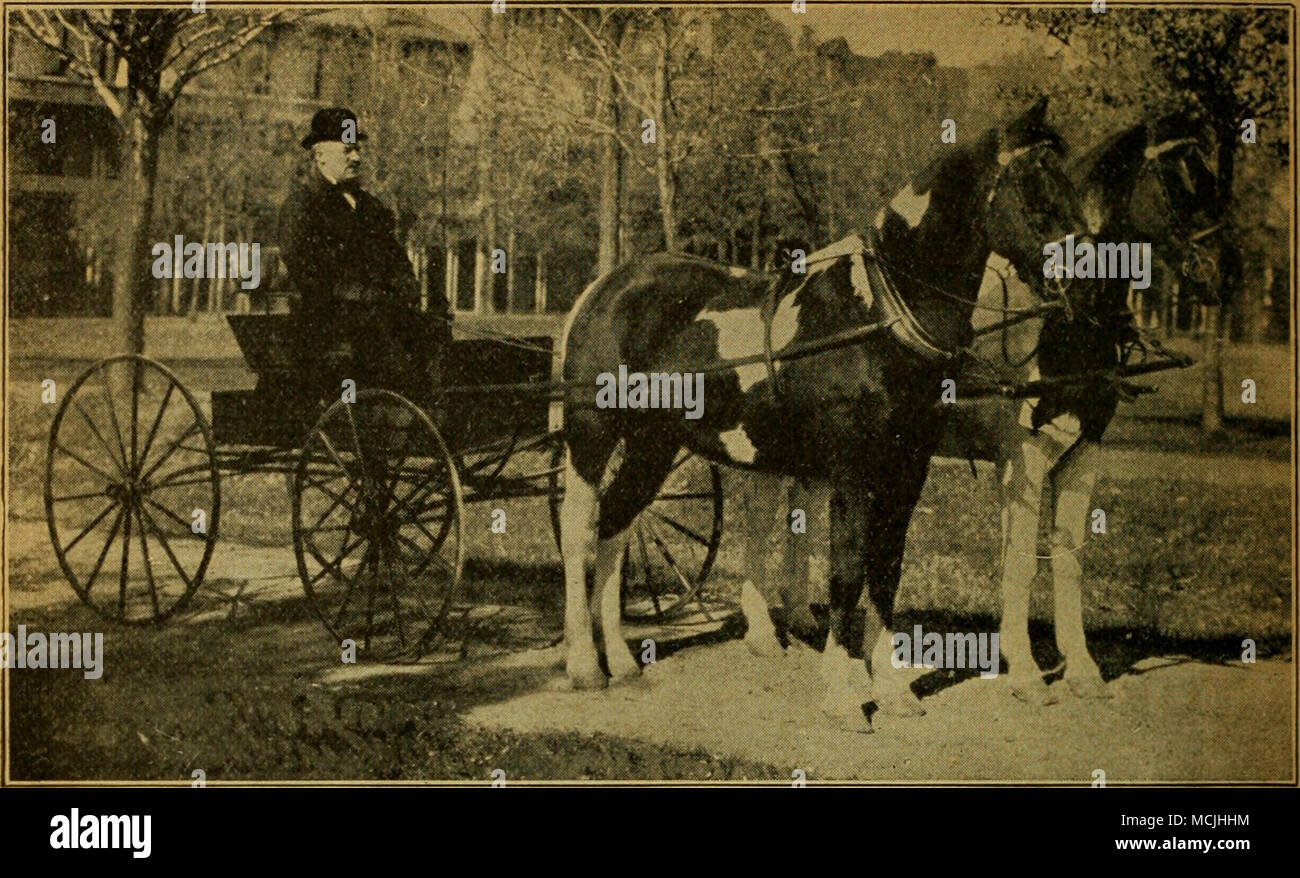 . Dr. David Roberts and his Arabian Team Stock Photo - Alamy