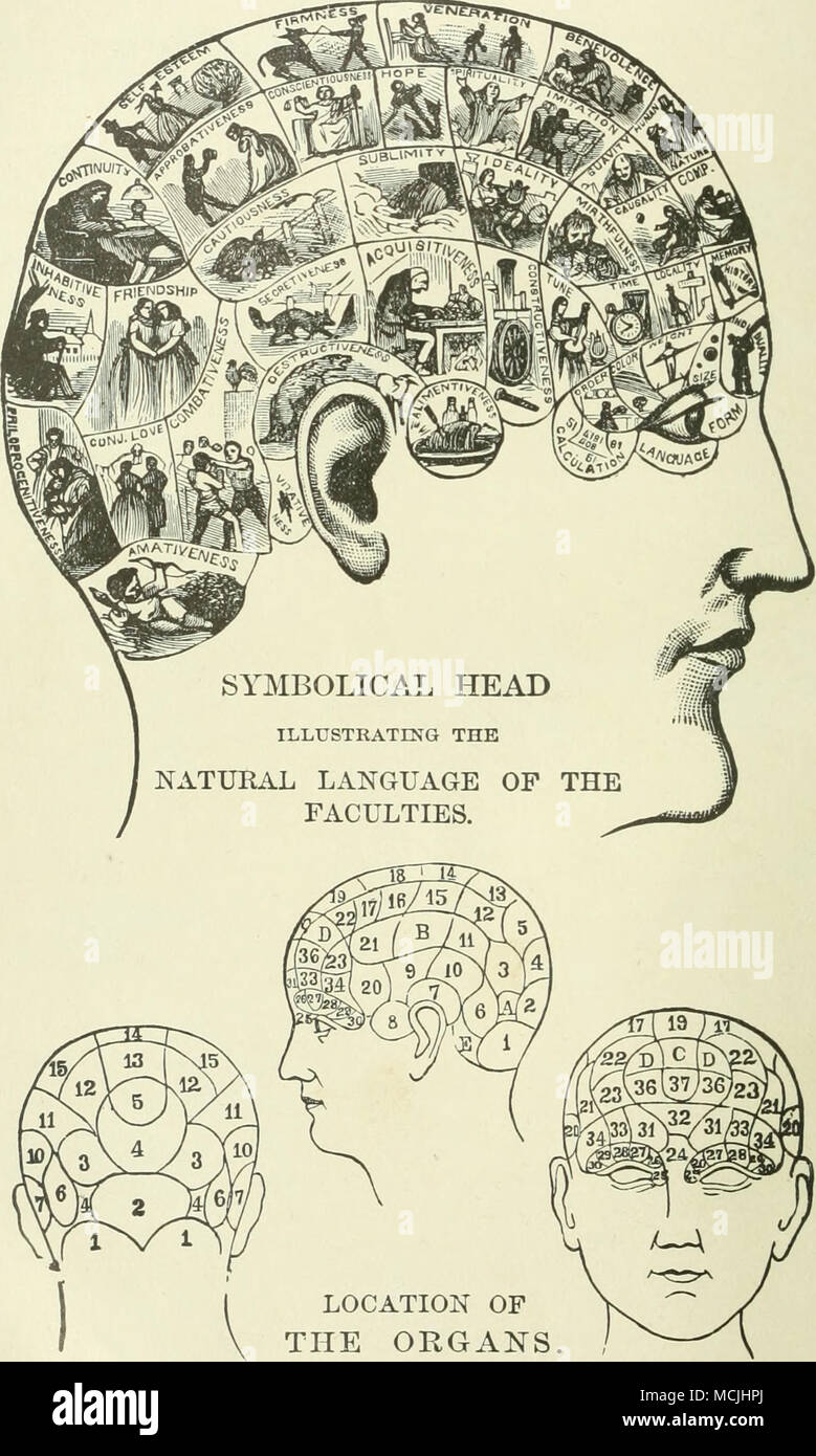 . NAMES AND NUMBERS OF THE ORGANS Stock Photo - Alamy
