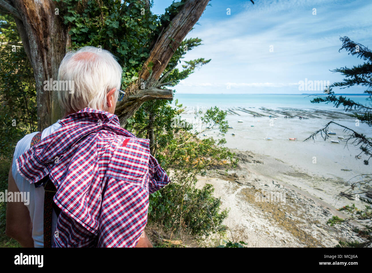 Rear view of old man looking at the beach, Brittany, France, Europe ...