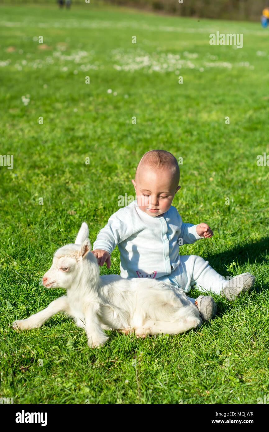 Gloating High Resolution Stock Photography and Images - Alamy