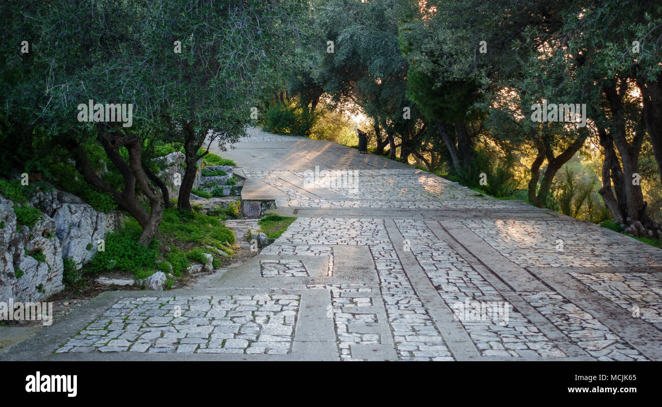 View of pedestrian walkway amidst trees, Athens, Greece Stock Photo - Alamy