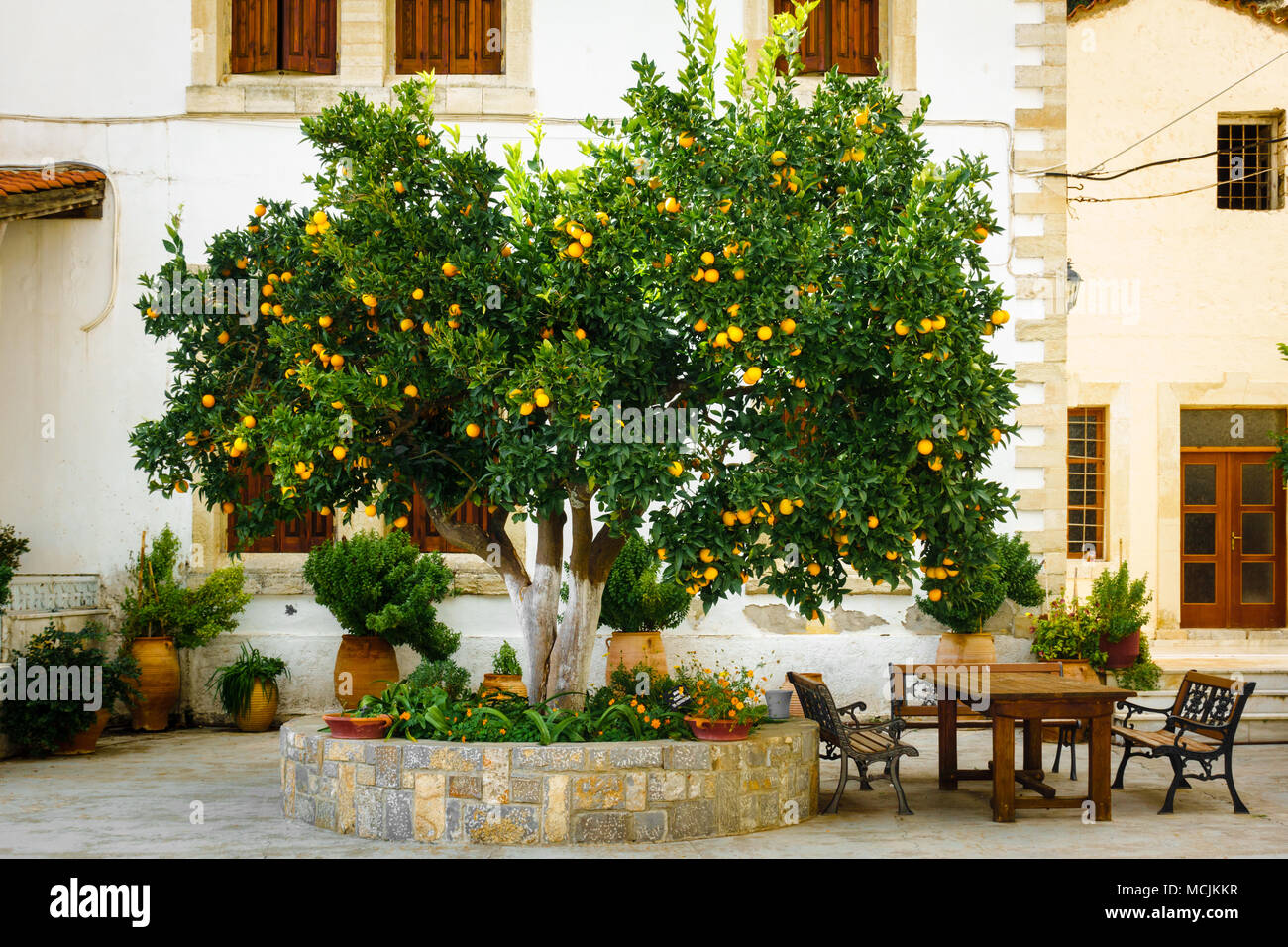 Orange tree and dining table in a patio, Greece Stock Photo - Alamy