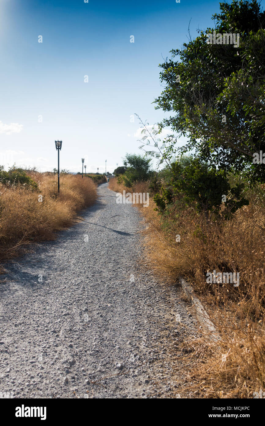 Narrow field road hi-res stock photography and images - Alamy