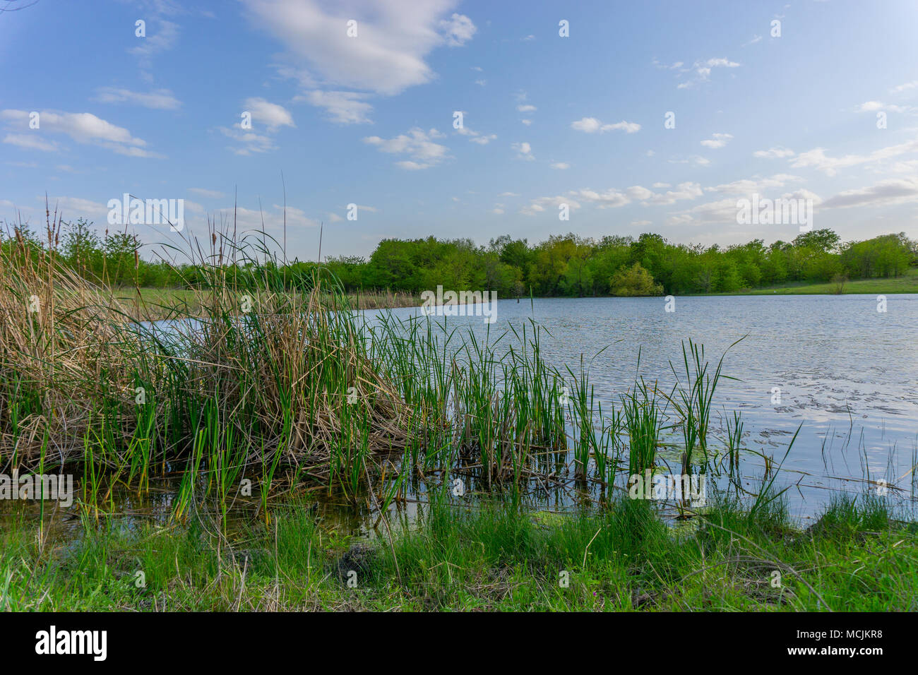 Cloudy sky save hi-res stock photography and images - Alamy