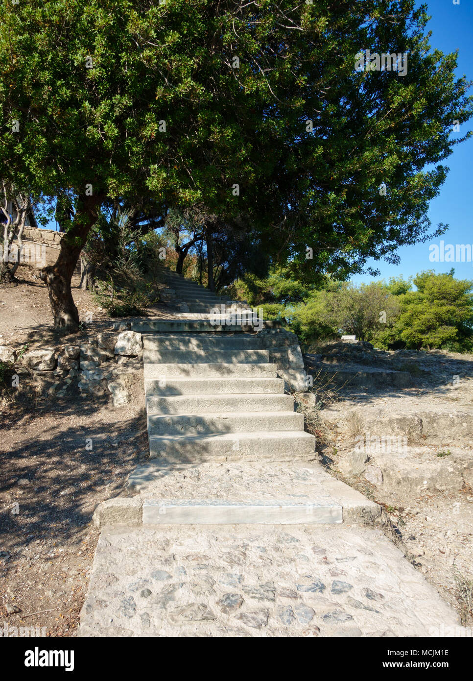 Stone steps and trees at garden, Athens, Greece Stock Photo - Alamy