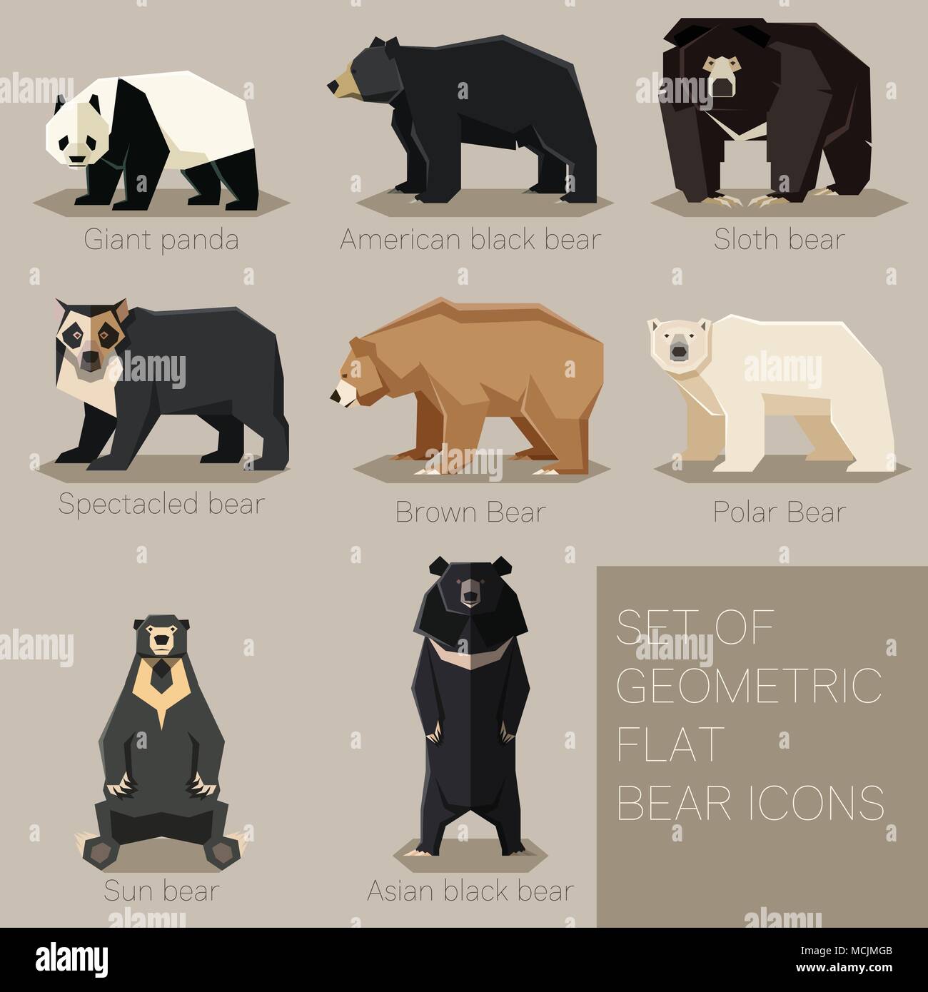 Vector image of the Set of flat geometric bear icons Stock Vector Image ...