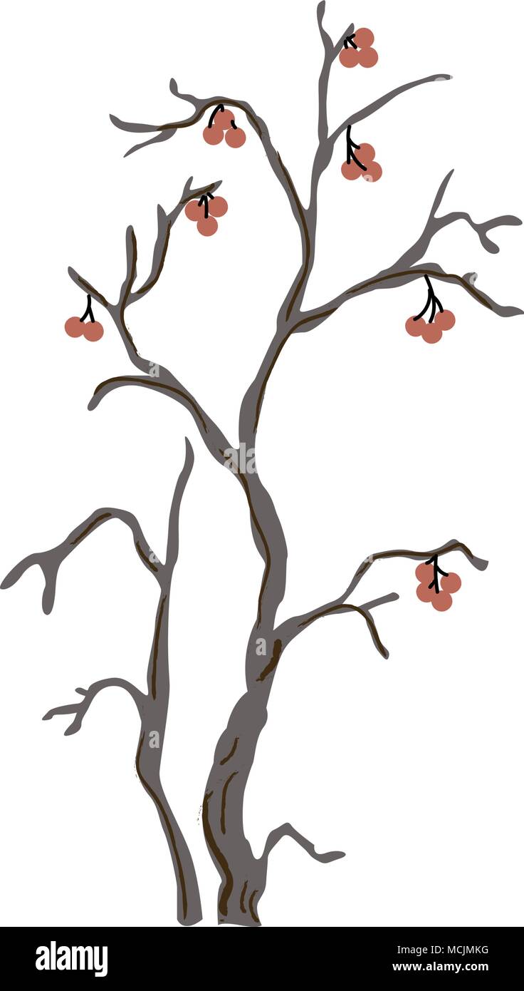 Silhouette of a rowan tree with berries. Rowan Icon Vector Illustration ...