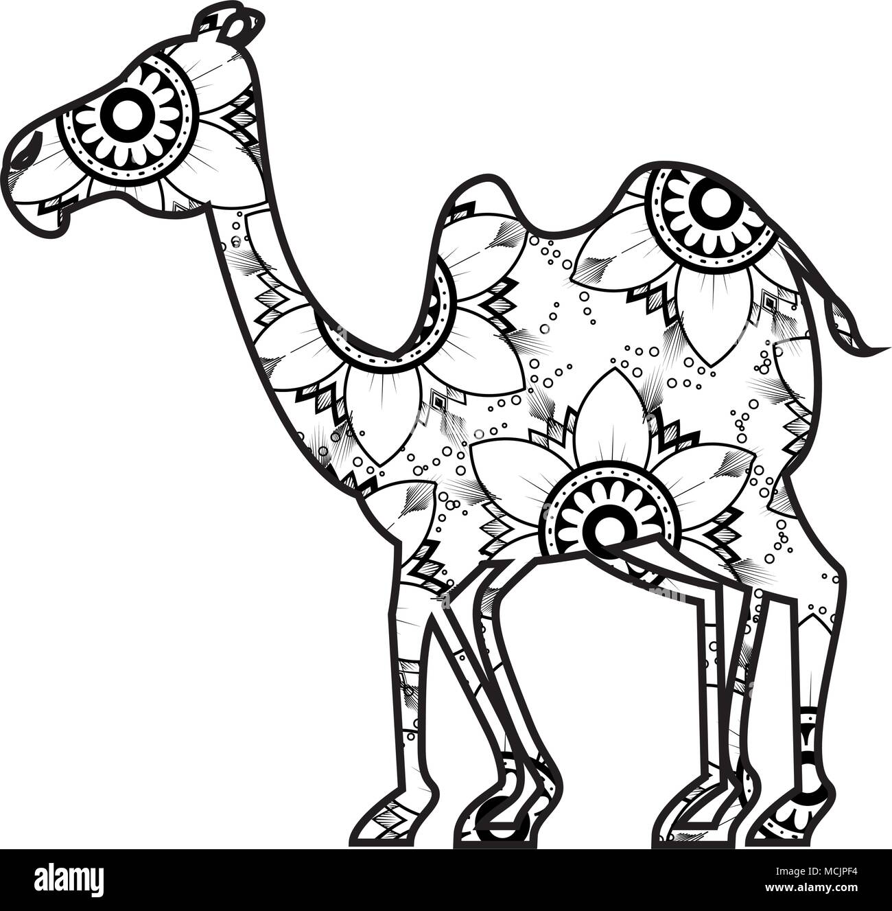 monochrome camel with mandala pattern vector illustration design Stock ...