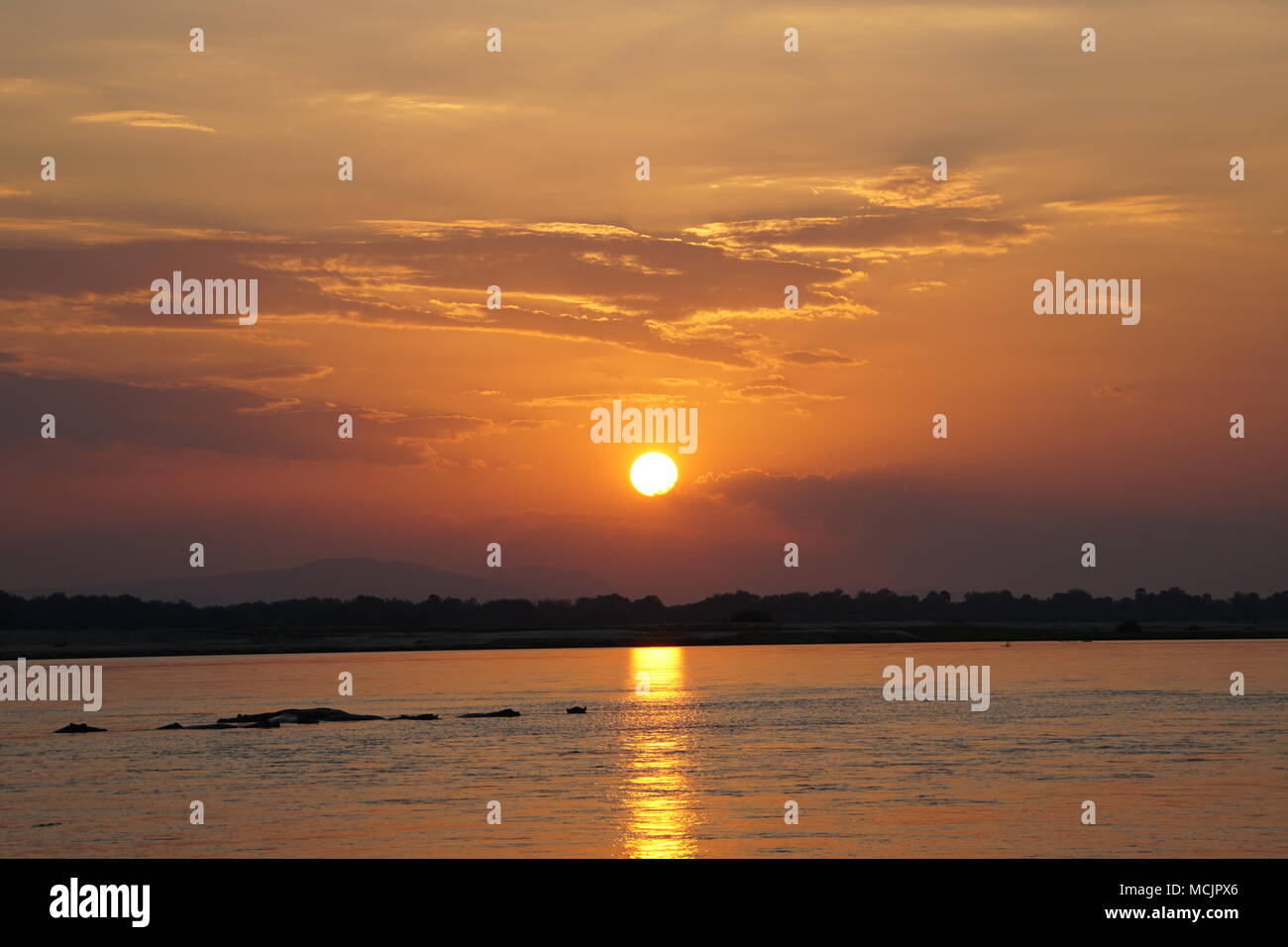 Safari tanzania sunset hi-res stock photography and images - Alamy
