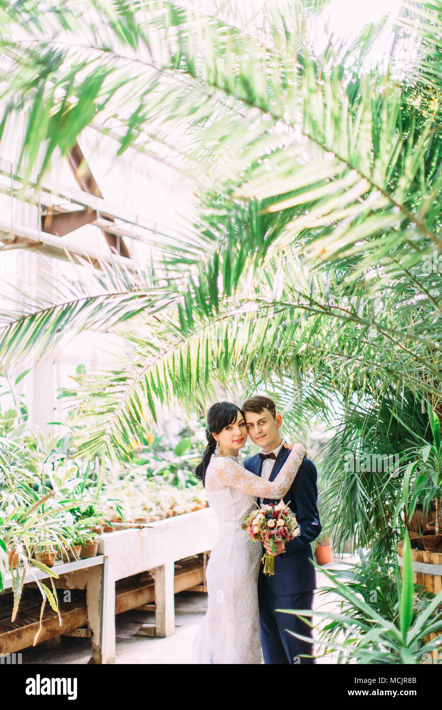 Hugging palm tree hi-res stock photography and images - Alamy