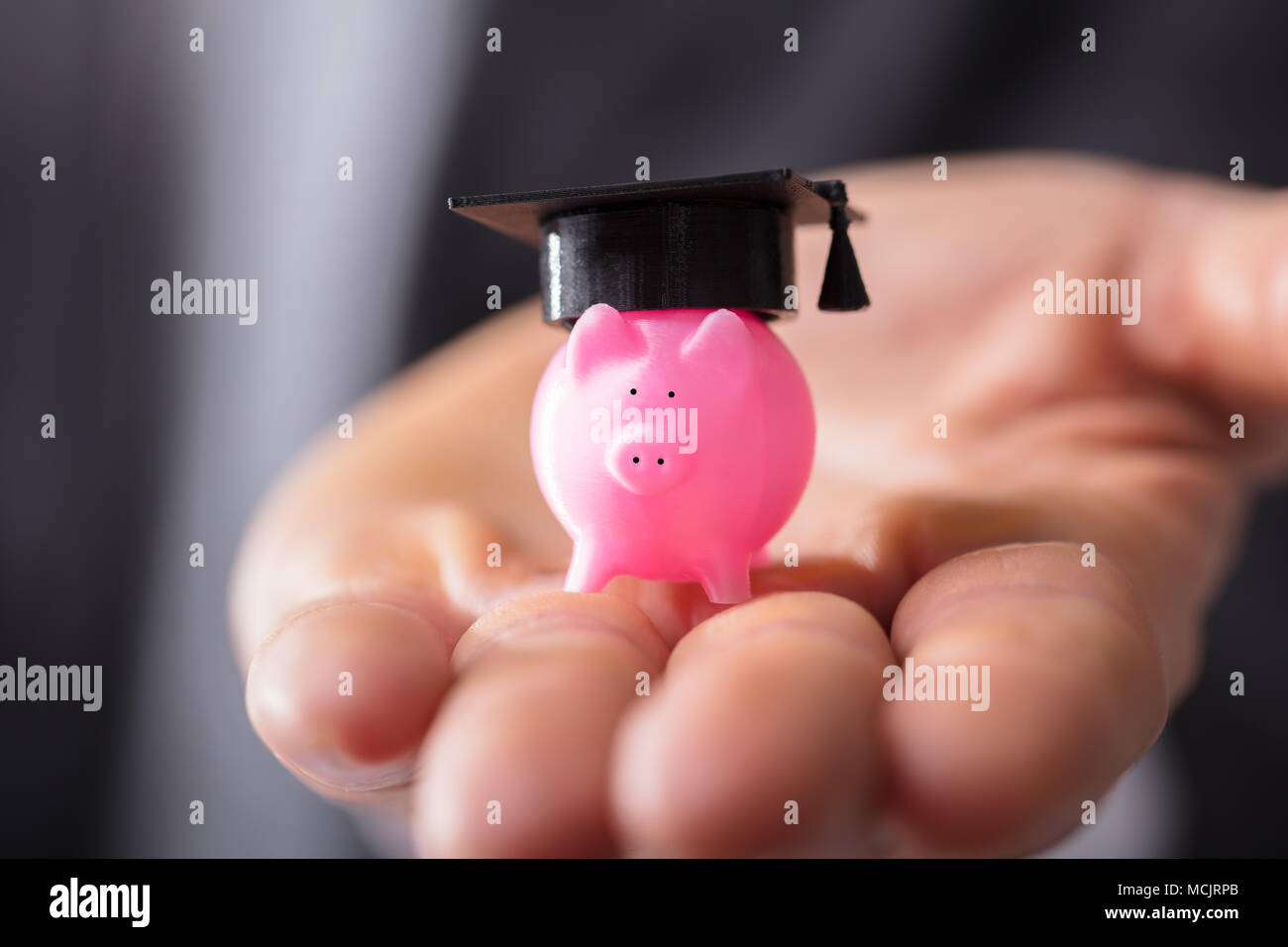 Graduation hat pig hi-res stock photography and images - Alamy