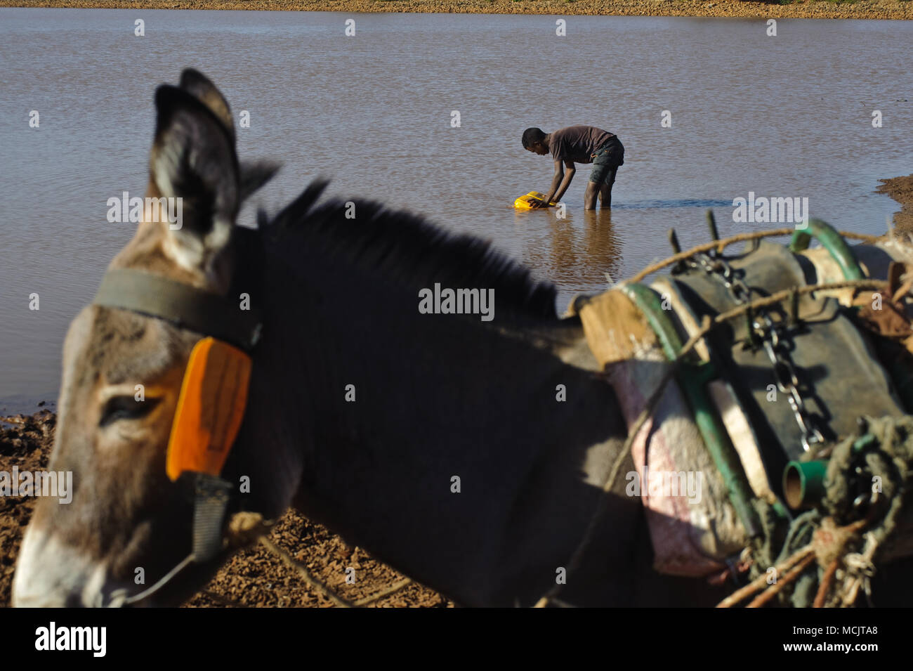 Teenage boy fetching water in a pond ( Ethiopia Stock Photo - Alamy