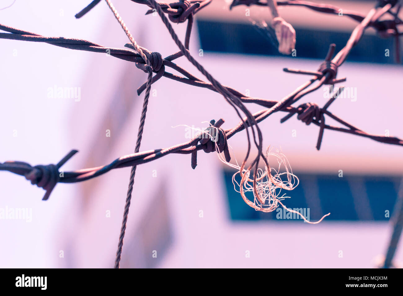 Vintage wire pastel color creative texture and pattern for design and ...