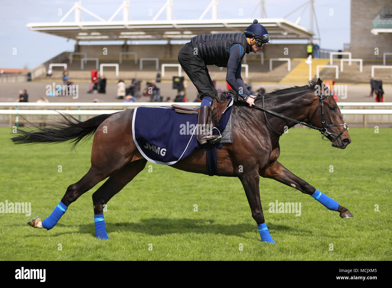 Robert havlin on gallops hi-res stock photography and images - Alamy