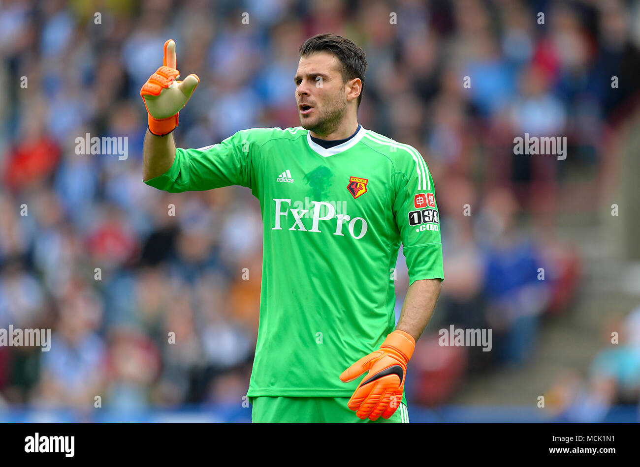 Watford goalkeeper Orestis Karnezis Stock Photo - Alamy