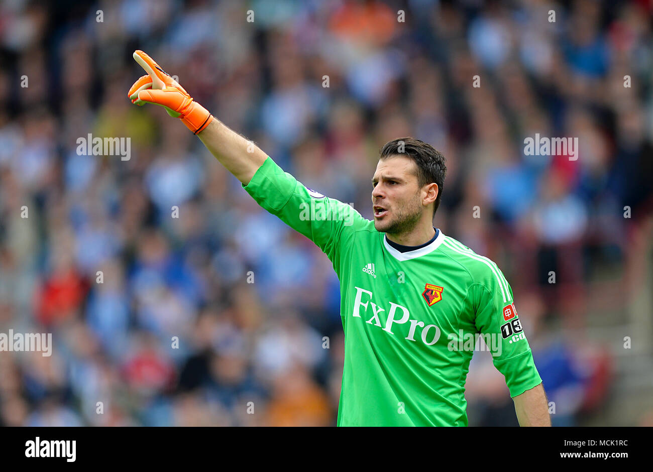 Watford goalkeeper Orestis Karnezis Stock Photo - Alamy