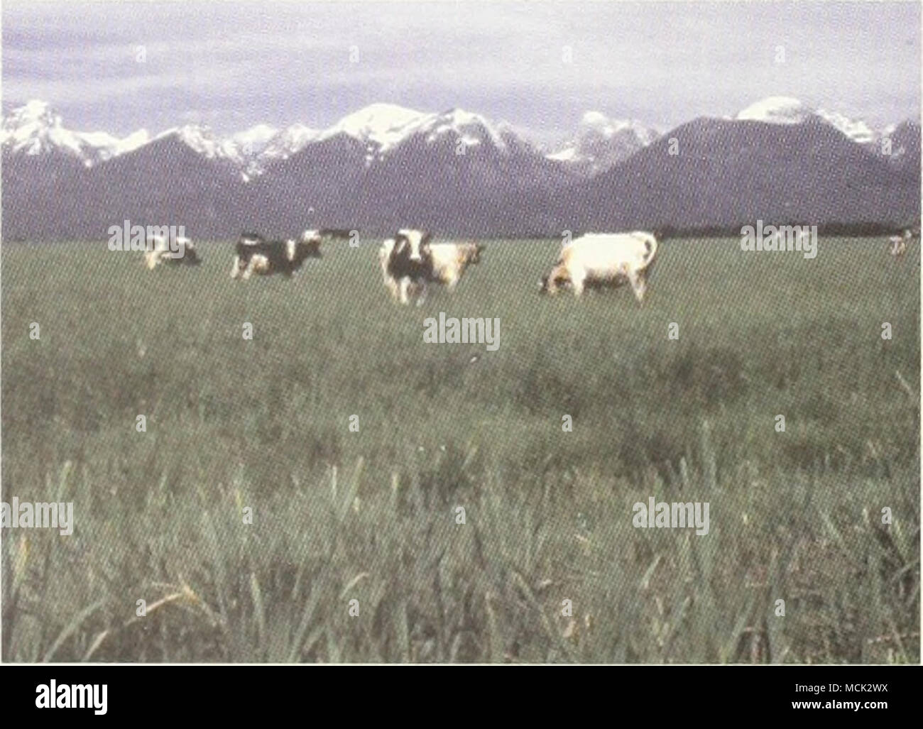 Usfs land hi-res stock photography and images - Alamy