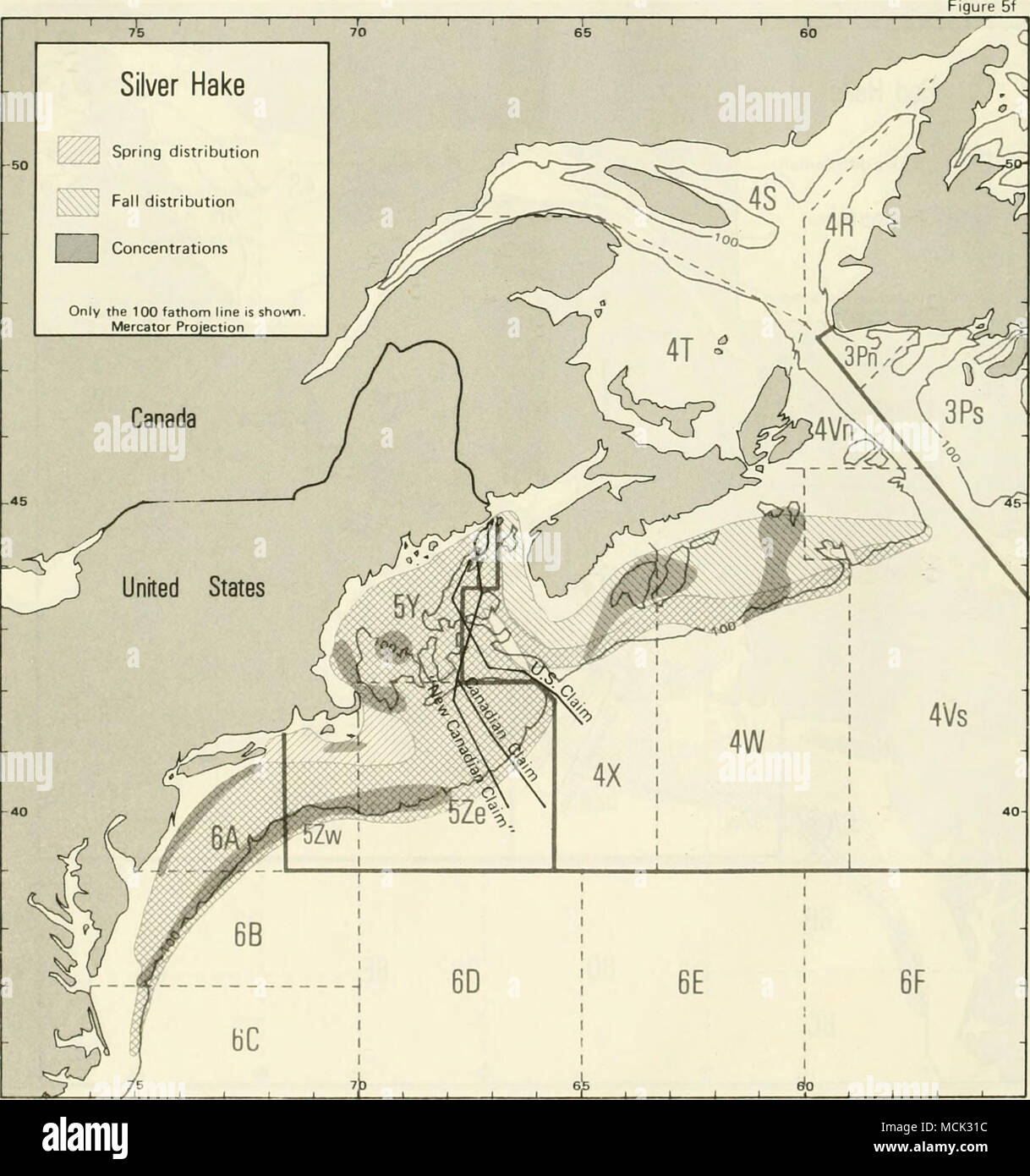 . Silver Hake Spring distribution Fall distribution Concentrations Onlv ...
