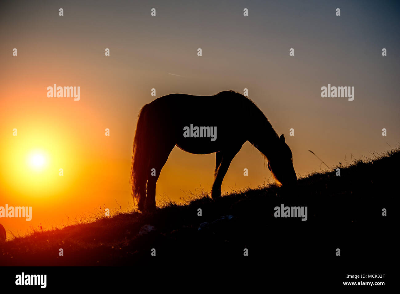 Riding horses in sunset hi-res stock photography and images - Alamy